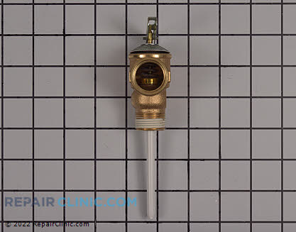 Temperature and Pressure Relief Valve 100108279 | The Home Depot Repair ...