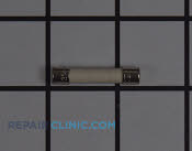 Replacement Fuse | Ships Today! 365-Day Returns