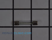 Replacement Fuse | Ships Today! 365-Day Returns